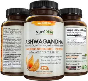 ashwagandha ဓာတ်၊ adaptogens ဆိုတာဘာလဲ