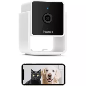 Petcube 애완 동물 모니터링 카메라, 최고의 블랙 프라이데이 애완 동물 거래