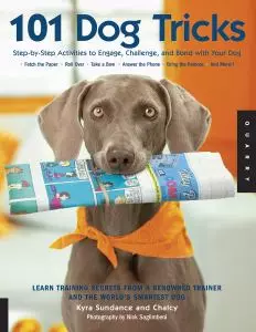 101 hundtrick, bästa hundträningsböcker