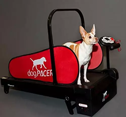 dogPacer Treadmill