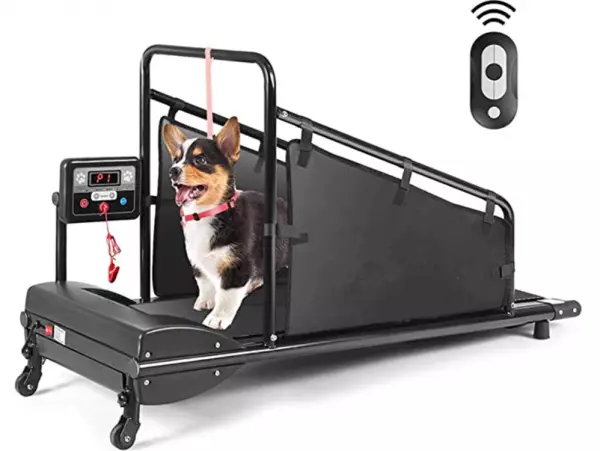 GoPlus Dog Treadmill