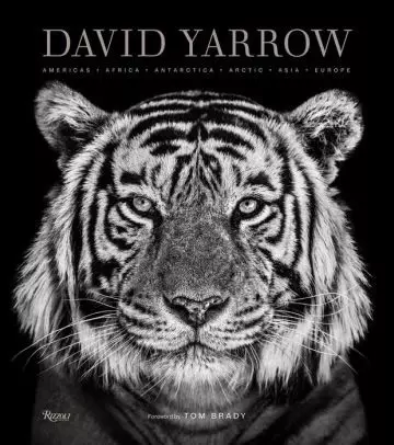 david yarrow argazki-liburua, oparitzeko liburu onenak