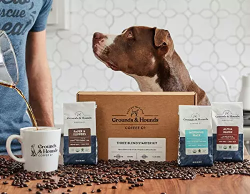 Grounds and hounds coffee with dog is cute กาแฟ ดีล