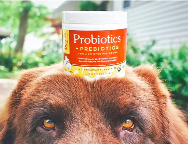 fera probiotic prebiotic kwa mbwa