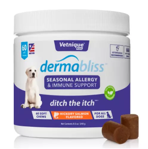 مكمل Dermabliss للحساسية الموسمية والمناعة