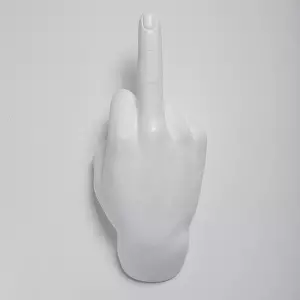 Interior Illusions Middle Finger Hand Wall Hook