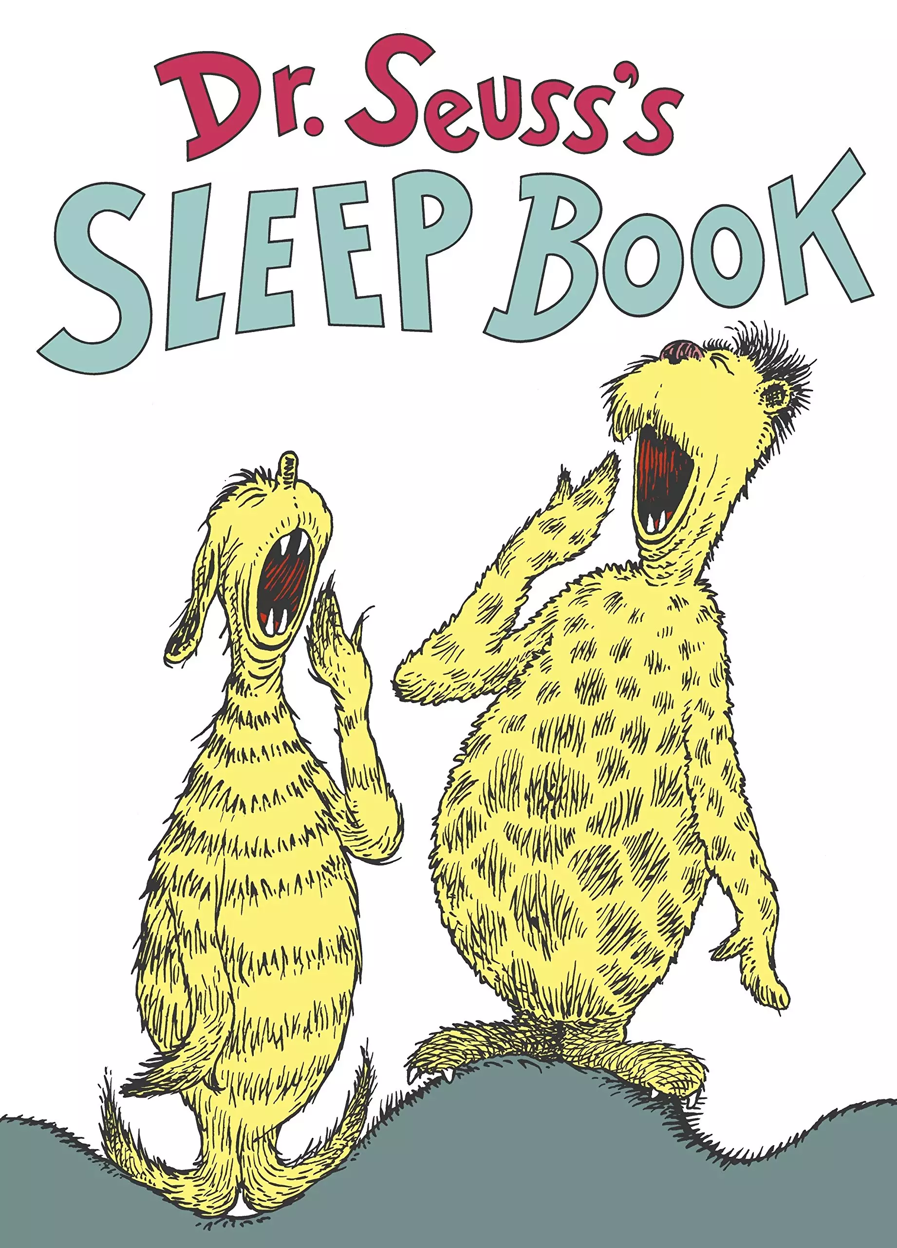 Seuss Sleep Book by Dr