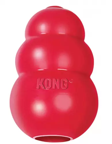 Kong Chew Toy