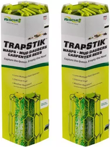 ΔΙΑΣΩΣΗ! TrapStik for Wasps, Mud Daubers, Carpenter Bees