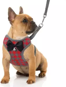 елегантен кучешки колан, подаръци за любителите на кучета