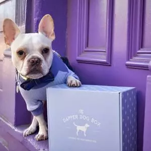 a dapper dog előfizetéses doboz, ajándékok a kutyabarátoknak