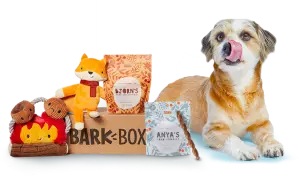 kůra box, dárky pro milovníky psů