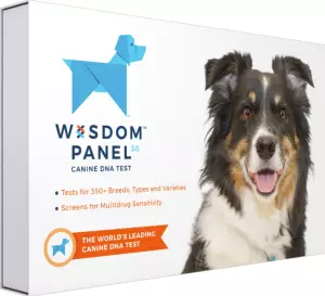 wisdom panel 3.0 dog DNA kit, kado foar hûn leafhawwers