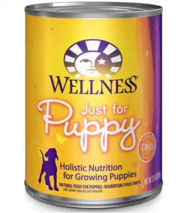 Benessere Complete Health Wet Food, il miglior cibo per cuccioli