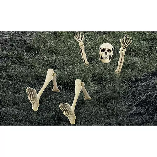 esqueleto de césped