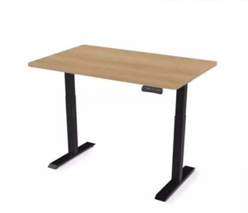Flexispot Adjustable Standing Desk Pro
