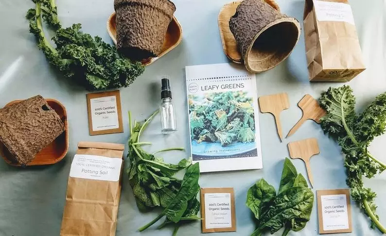Hortiki Plants Kit de xardinería de contedores de inicio de sementes ecolóxicos de follas verdes