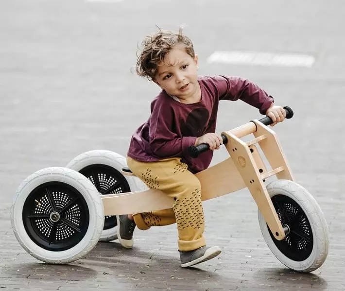 Tembikar-Lumbung-Anak-Wishbone-3-in-1-Bike