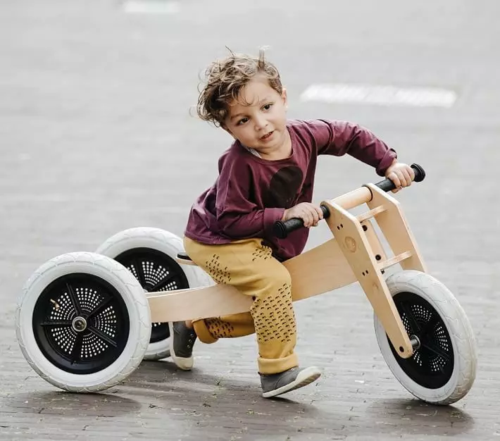 Pottery-Barn-Kids-Wishbone-3-in-1-Bike