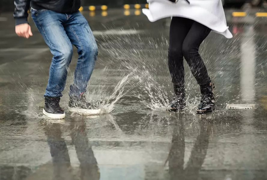 l-aħjar spray protettiv taż-żraben