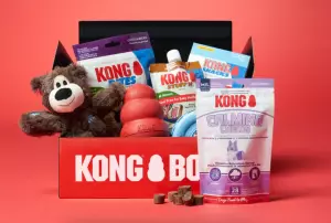 kong box dog box