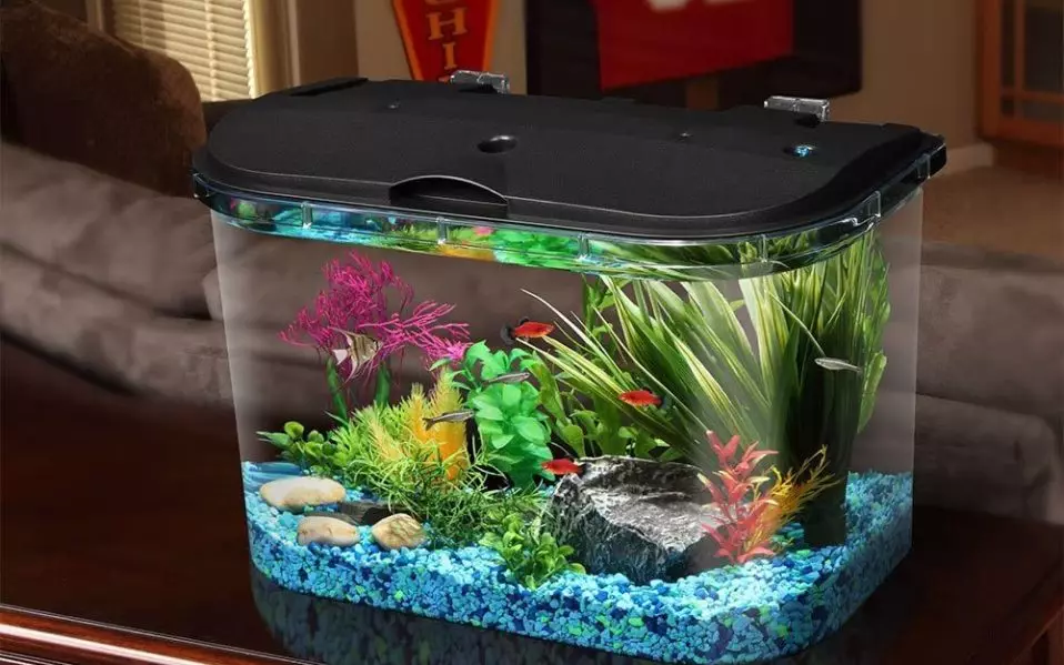 beste betta aquarium