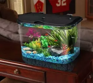 beste betta aquarium