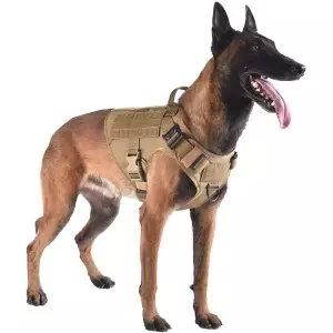 ICEFANG Tactical Dog Harness, txakur taktikoen txaleko onenak