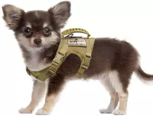 Тактическая шлейка для дрессировки собак SALFSE