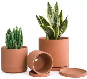 pot keramik (planters) dvine dev