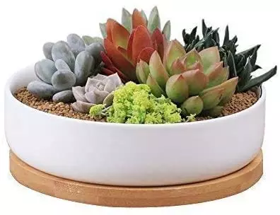 Binwen 6.3 inch Round Ceramic White Succulent Cactus Planter