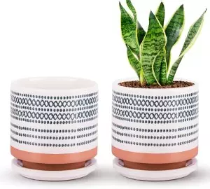 The Next Gardener Macetas de cerámica
