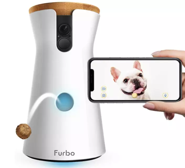Furbo kamery dla zwierząt