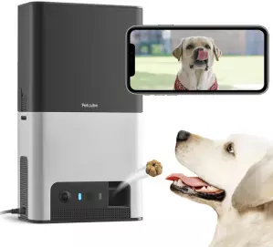 petcube bites 2 caméra pour animaux de compagnie