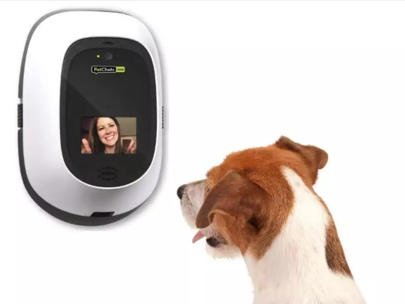 petchatz pet camera