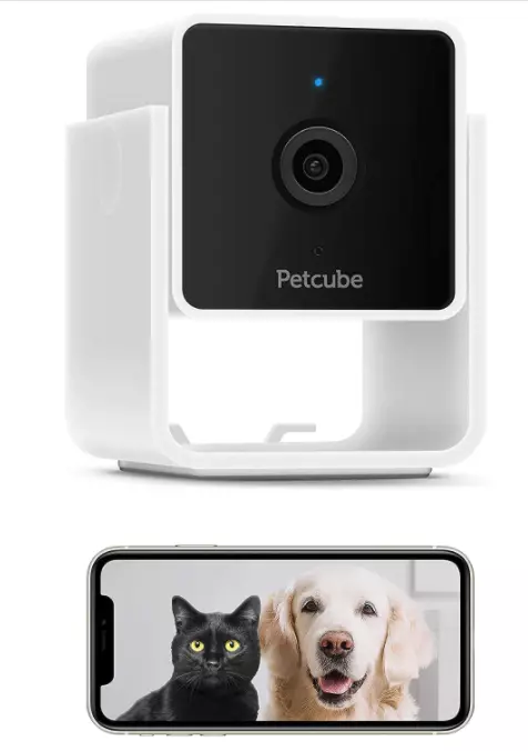 كاميرا الحيوانات الأليفة petcube