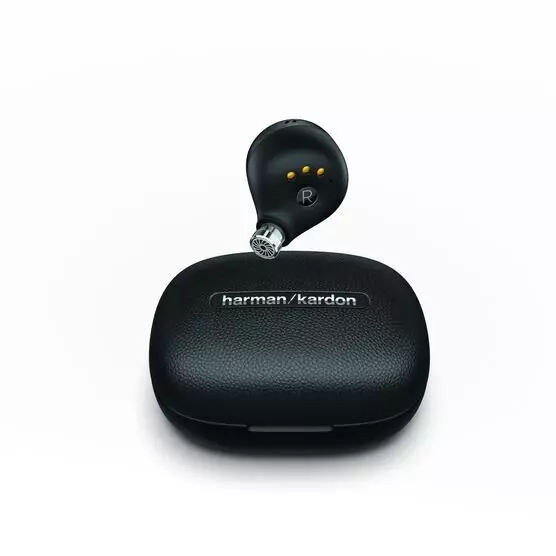 Harman Kardon Fly TWS Review: esses botões sem fio embalam um som forte em seus ouvidos tímidos 6655_3