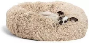 cele mai bune paturi pentru câini cei mai buni prieteni de sheri