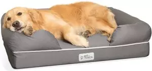 parimad koera voodid petfusion ultimate