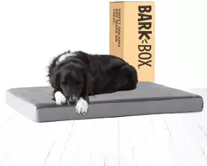 geriausios šunų lovos barkbox