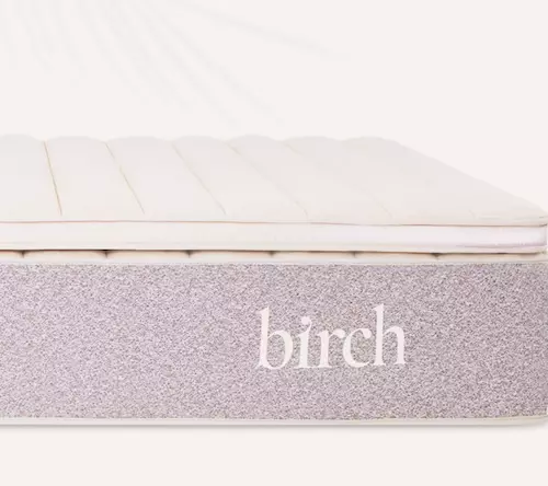 Birch Plush Pillow ពូកសរីរាង្គ