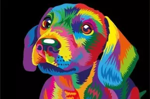 cane colorato dipingi con i numeri, dipingi con i numeri per gli adulti