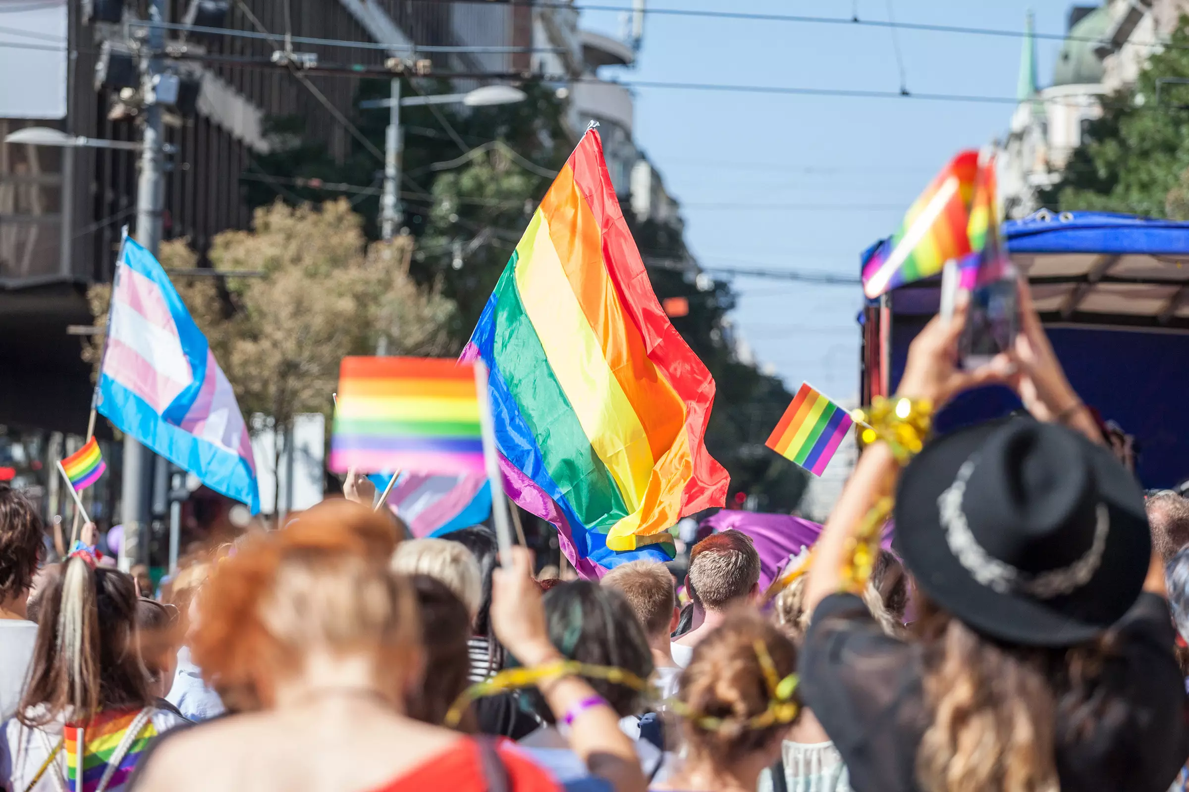 Тълпа, вдигаща и държаща дъгови гей знамена по време на гей парада. Транс знамена могат да се видят и на заден план. Знамето на дъгата е един от символите на LGBTQ общността. Изображение на тълпа от хора, държащи и издигащи знамена с дъга, символ на хомосексуалната борба, по време на гей демонстрация. Знамето на дъгата, известно като гей прайд флаг или ЛГБТ прайд флаг, е символ на лесбийките, гейовете, бисексуалните и транссексуалните (ЛГБТ) прайда и ЛГБТ социалните движения. Други по-стари употреби на знамена с дъга включват символ на мира.