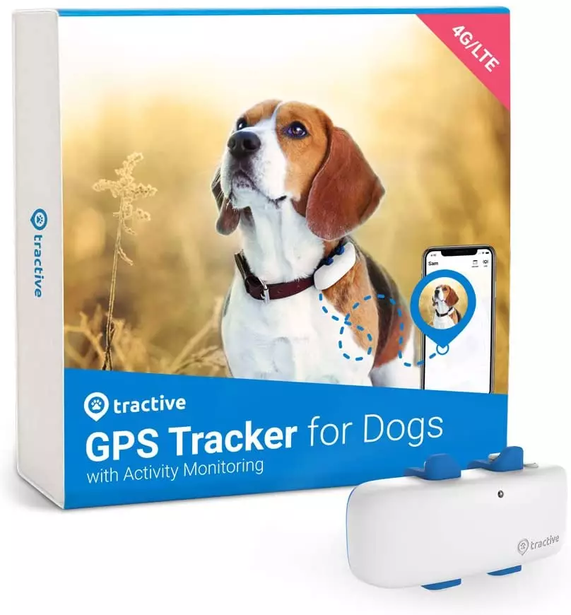 Traactive LTE Dog Tracker