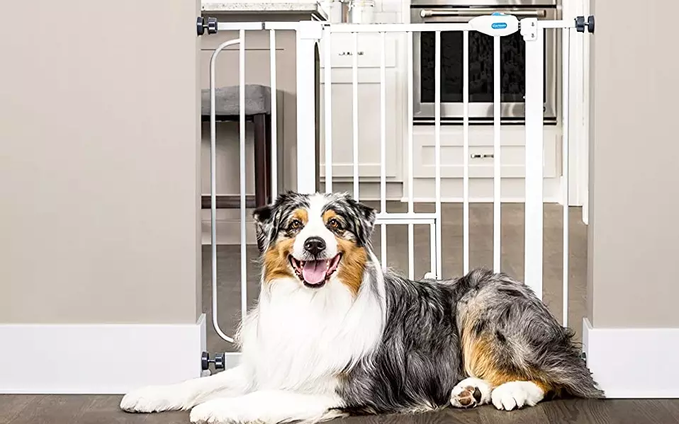 Ворота безопасности домашних животных