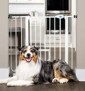 Carlson Pet Products Gate