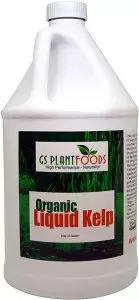 miglior fertilizzante gs alimenti vegetali organici