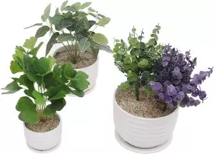 Mazuva ano Ceramic Garden Flower Pots