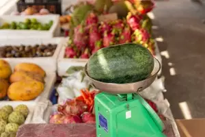 Dulliegħa fuq Skala, kif tagħmel keg tad-dulliegħa