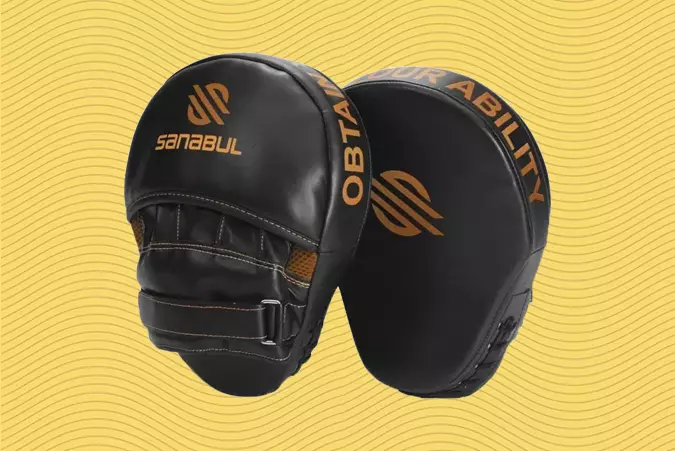 best boxing mitts mma
